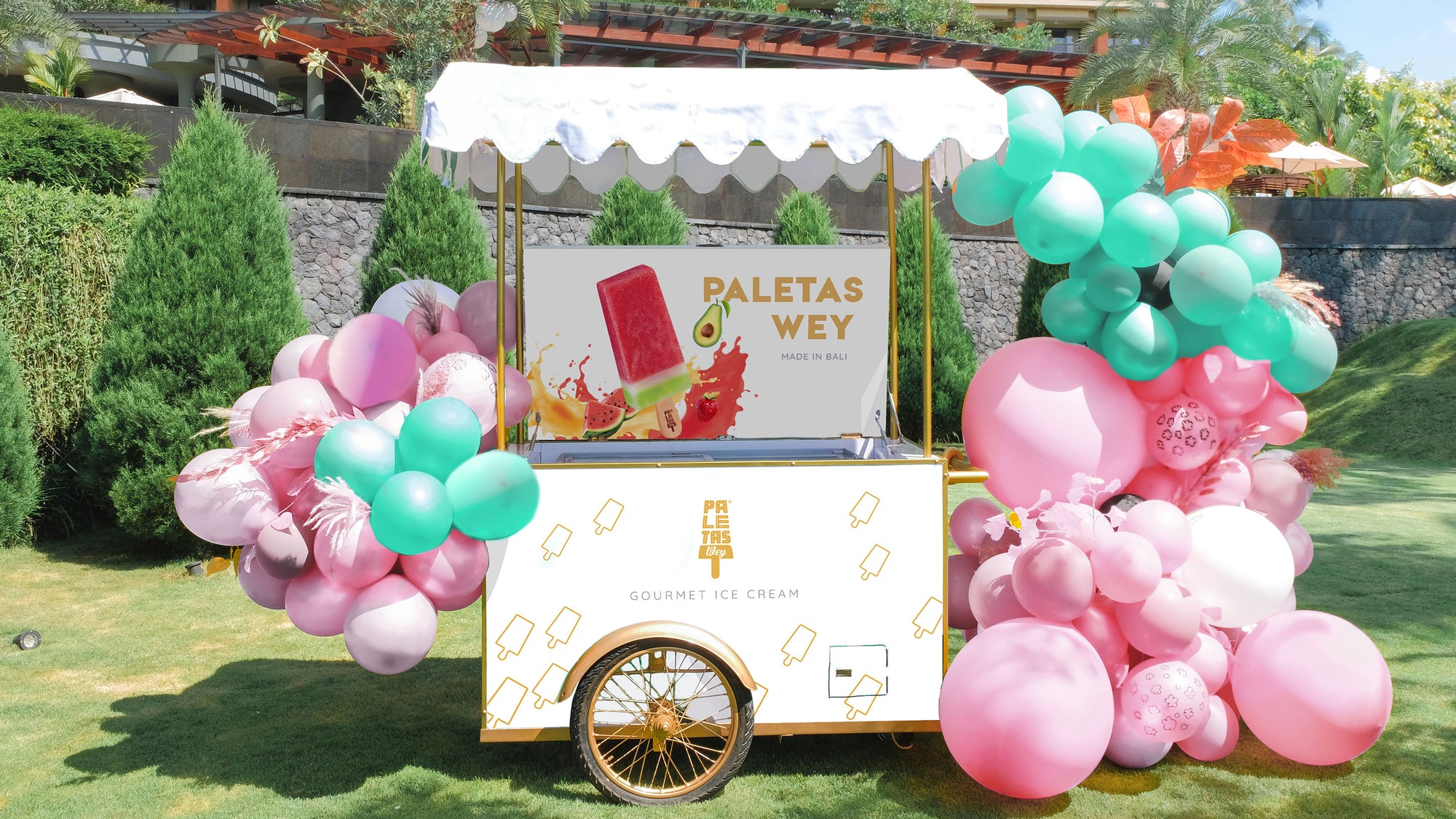 Informasi Pengiriman Paletas Wey